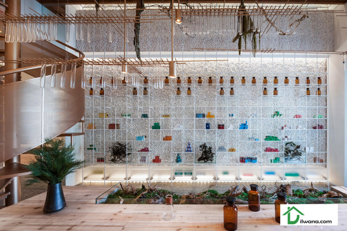 The world’s most beautiful clinics – Dilwana